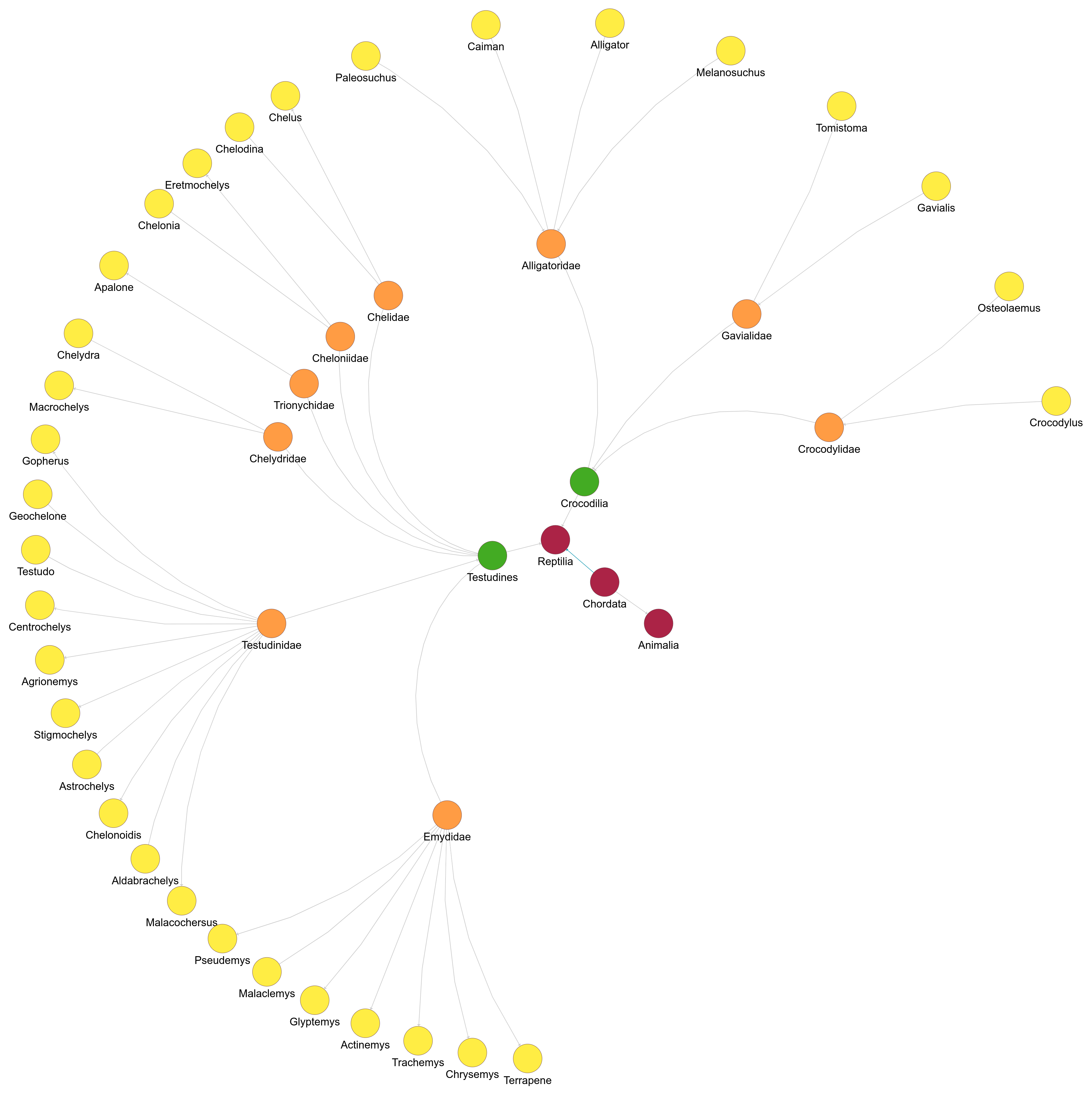 GitHub - mgonzalezpintos/visualizaciondedatosA5.github.io